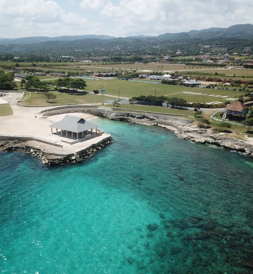 Saluters Guide - RebelSalute