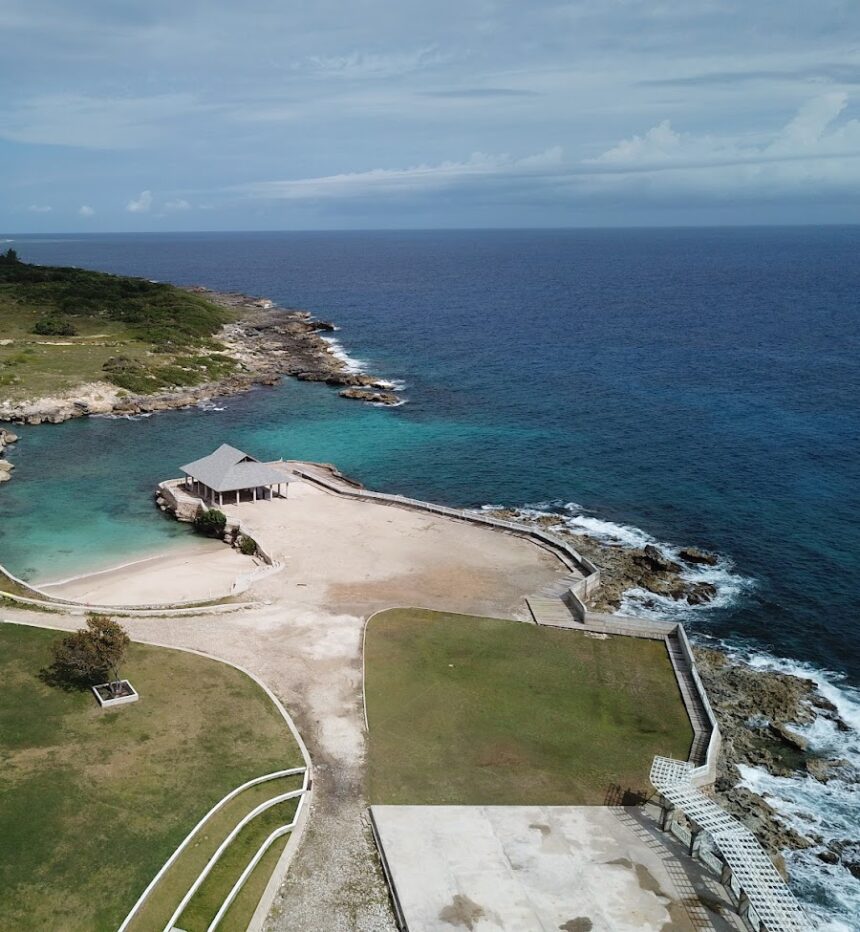 Saluters Guide - RebelSalute