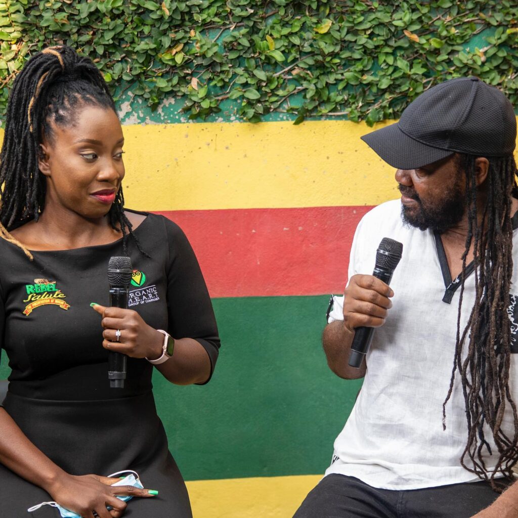 Saluters Guide - RebelSalute