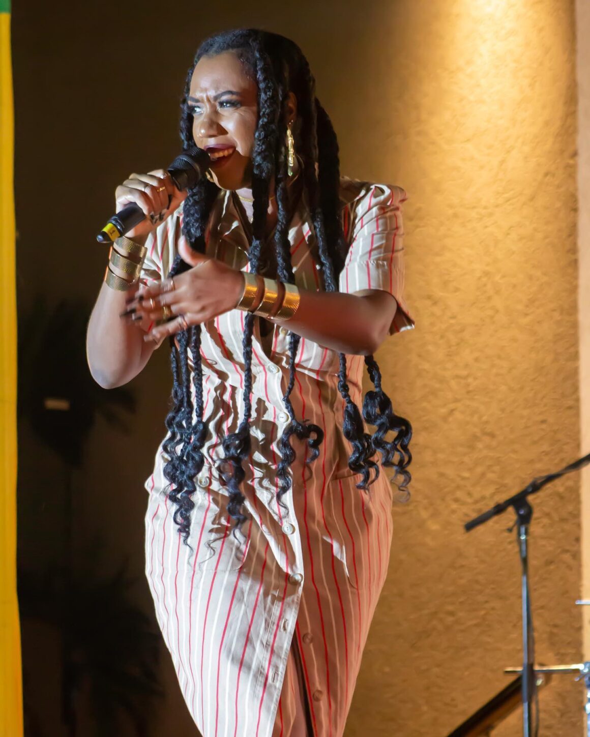 Saluters Guide - RebelSalute