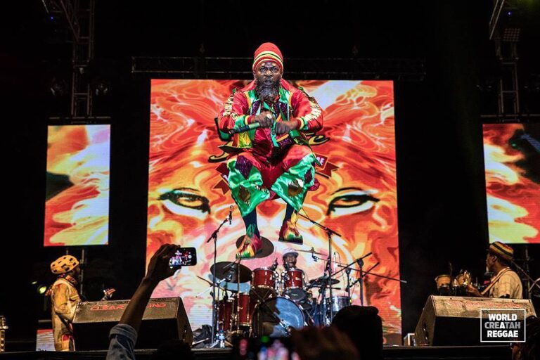 The Experience - RebelSalute