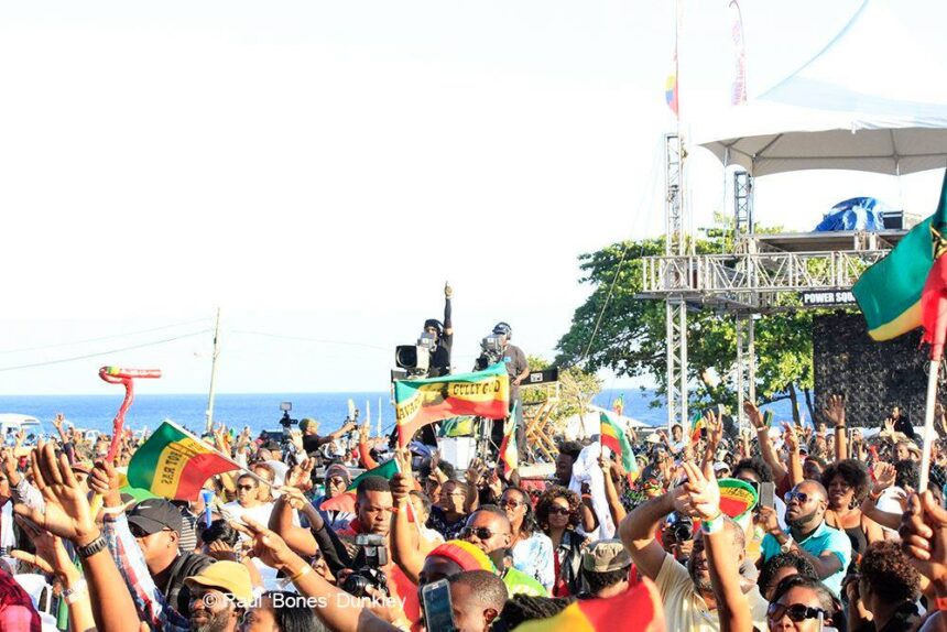 The Experience - RebelSalute