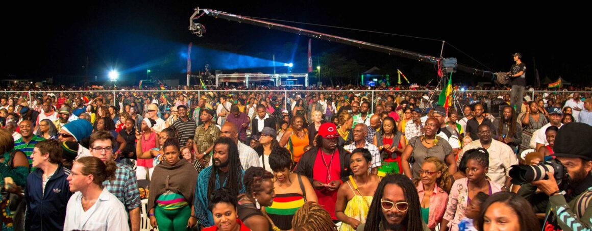 Saluters Guide - RebelSalute