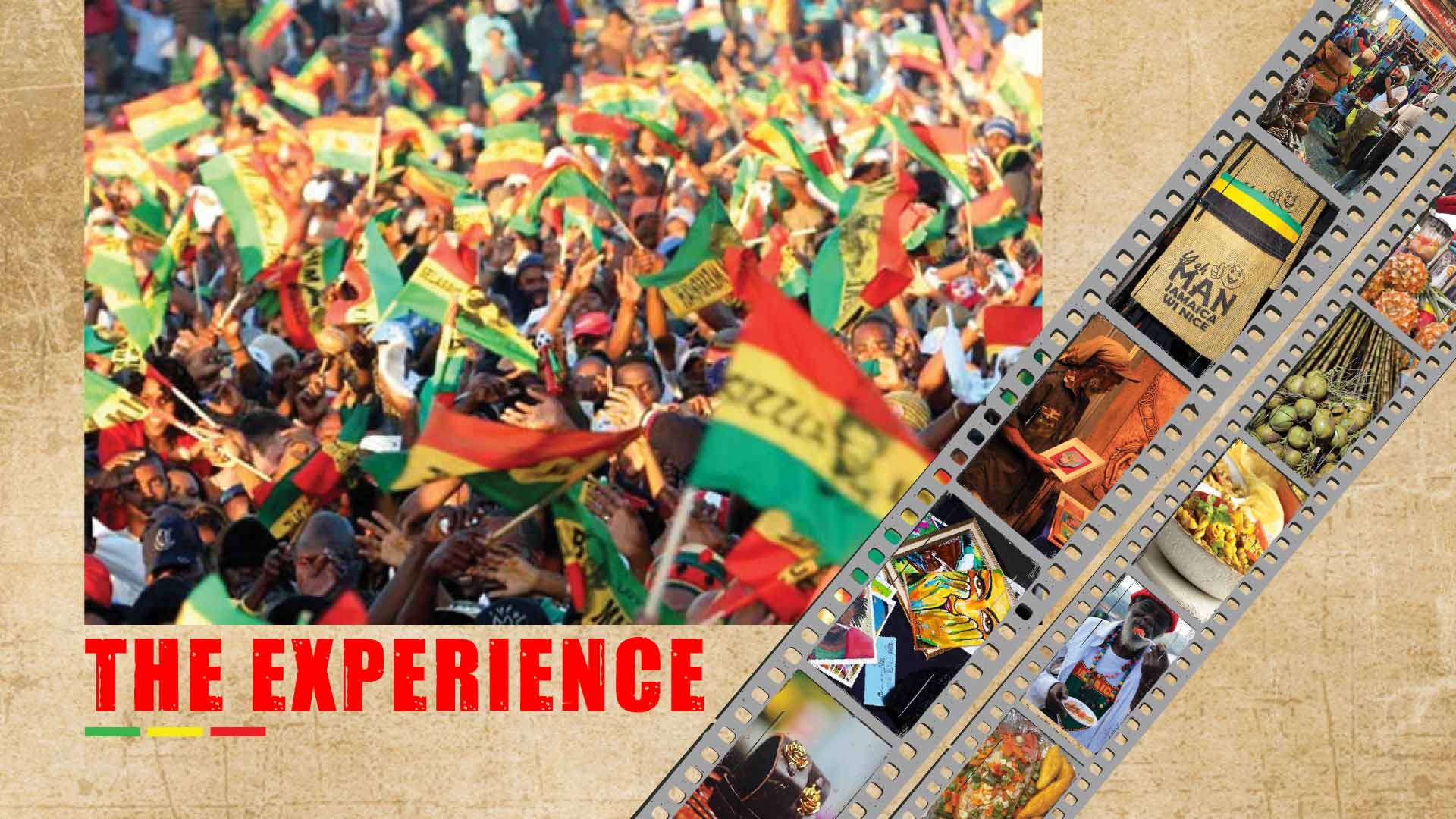 The Experience - RebelSalute