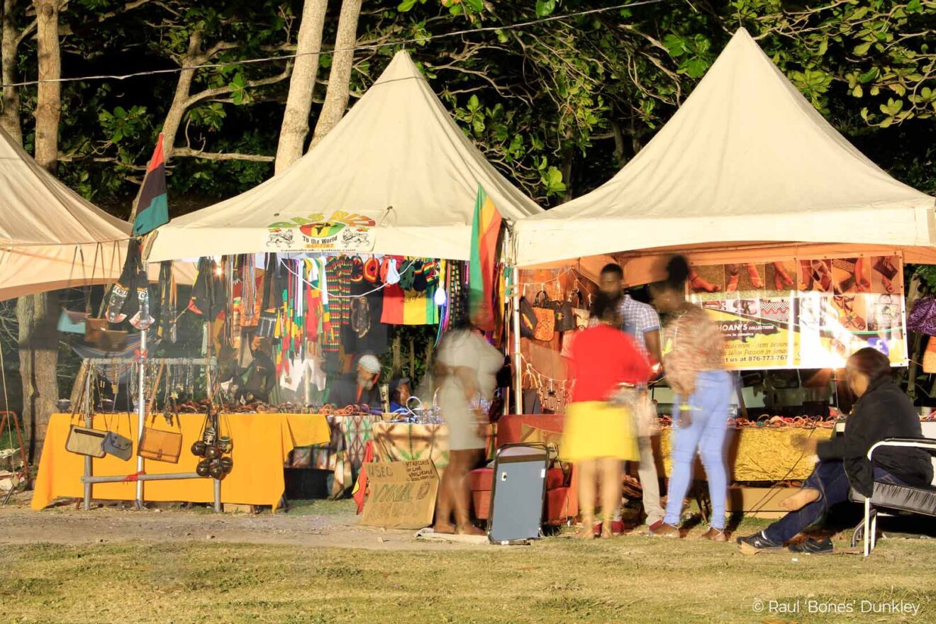 The Experience - RebelSalute